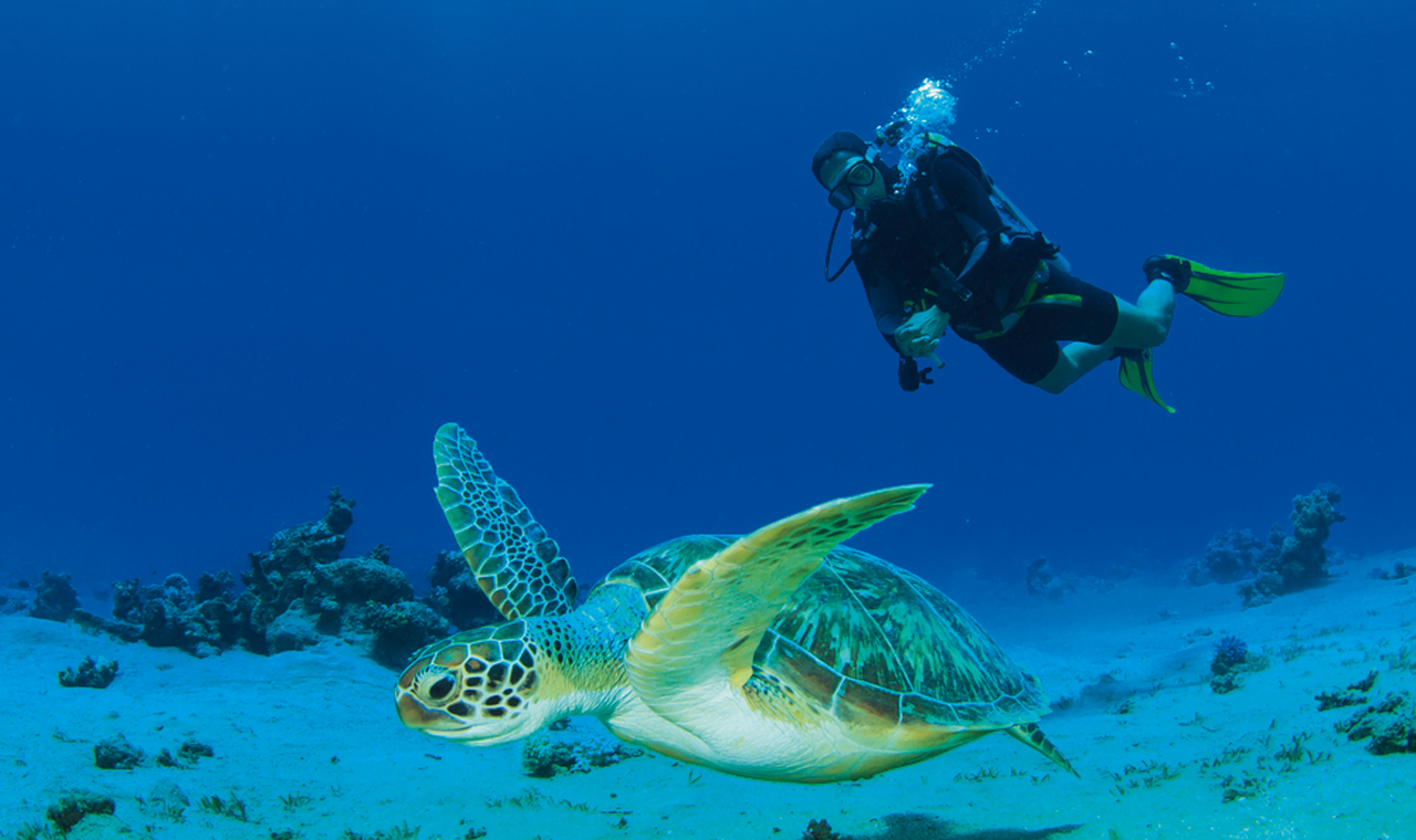 Exploring the ocean | Spotlight Online